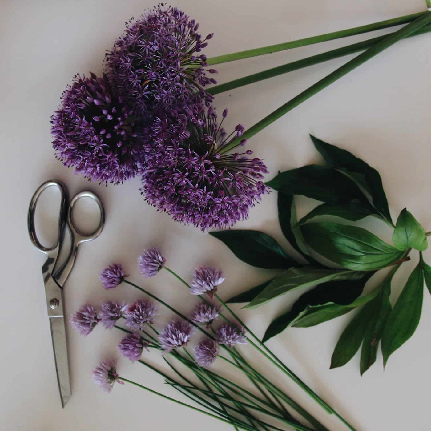 Spring Alliums | Home for the Harvest Gardening Blog – Home for the Harvest