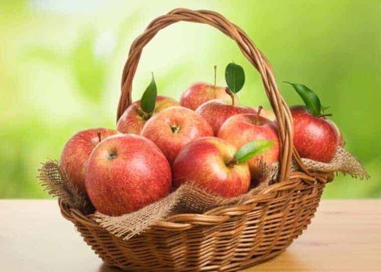 Jonagold apple 🍏 💛 A juicy blend of flavor, texture, and uses!