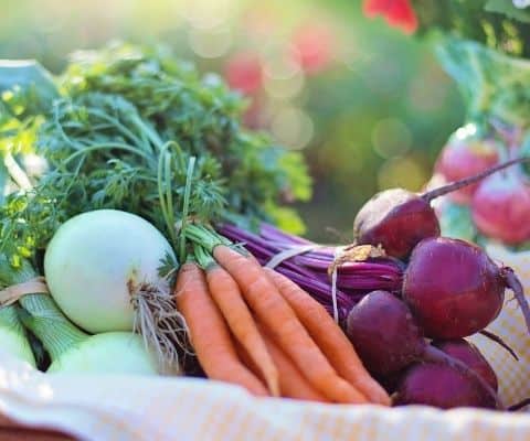 harvest basket of spring vegetables – Home for the Harvest