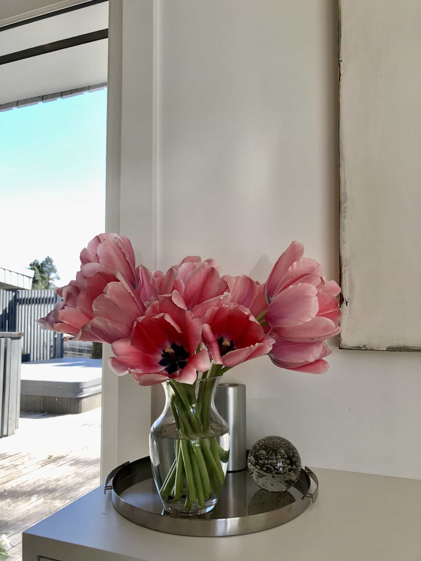 pink impression tulips – Home for the Harvest