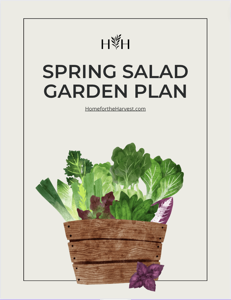 Spring vegetable garden plan – cover image – Home for the Harvest