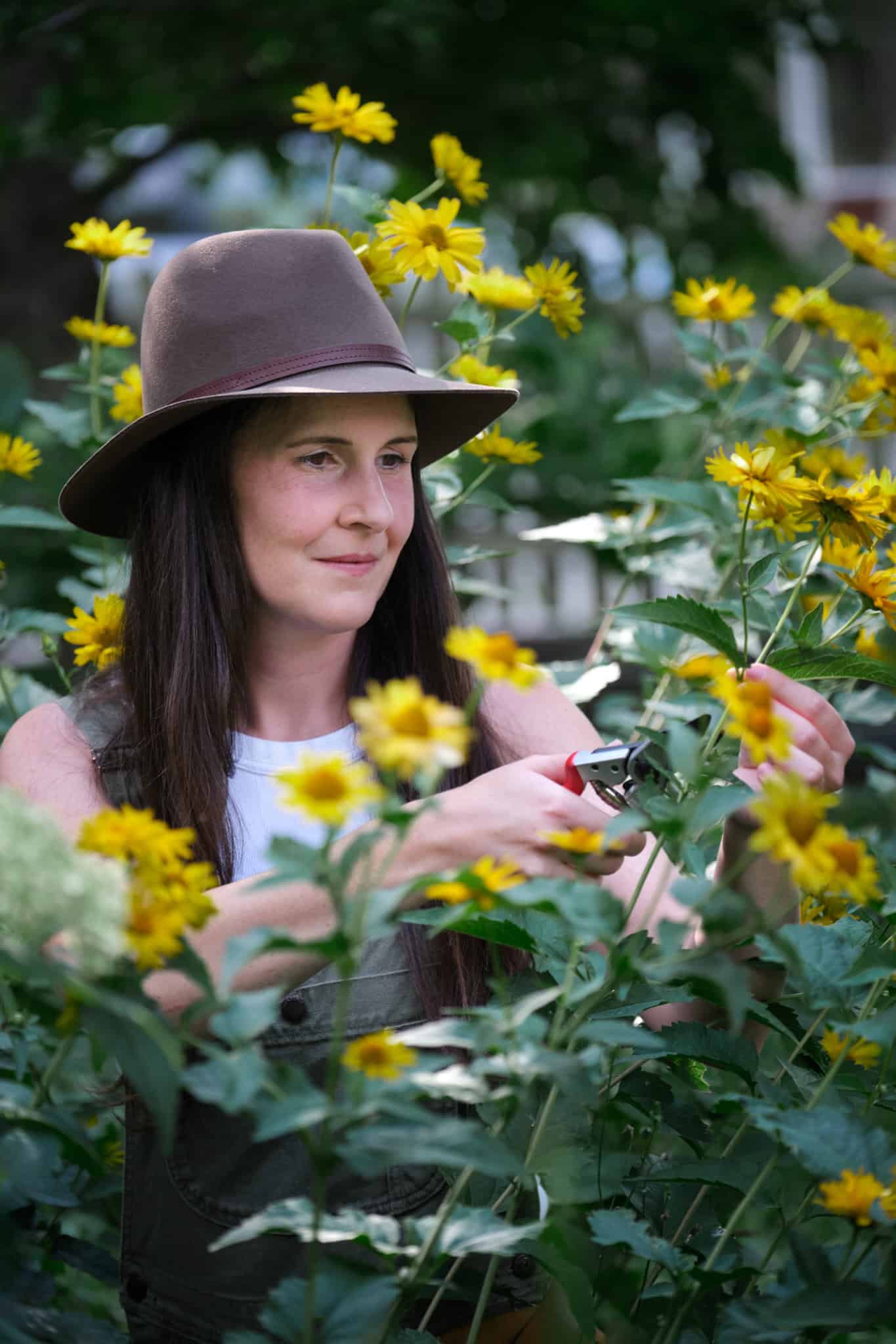 Deadheading flowers in the border garden – Home for the Harvest