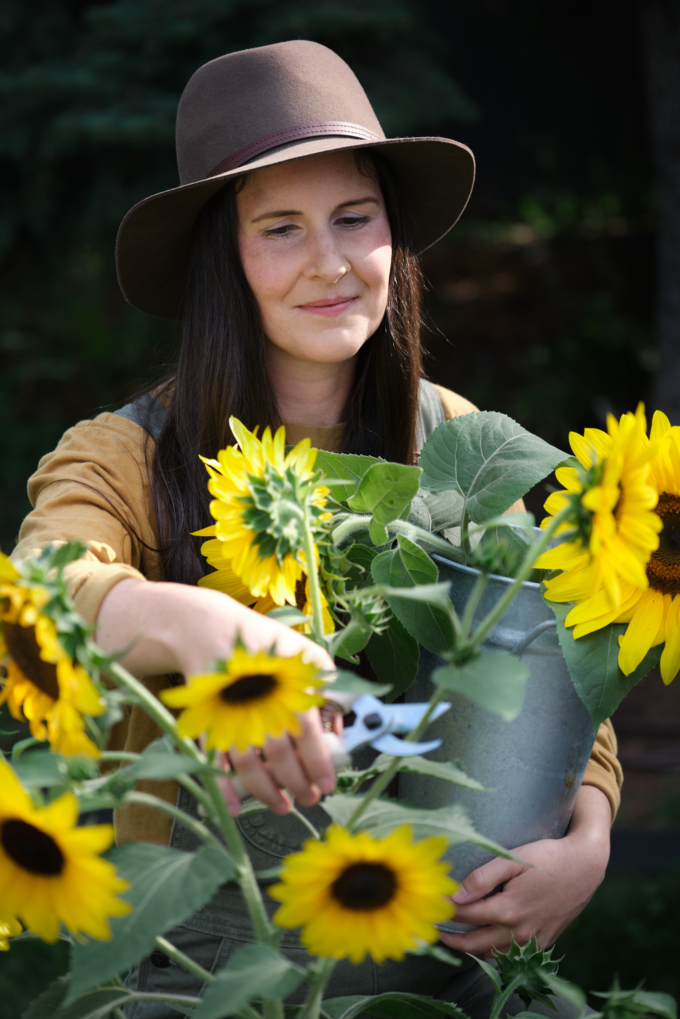 harvesting sunflowers in fall – Home for the Harvest