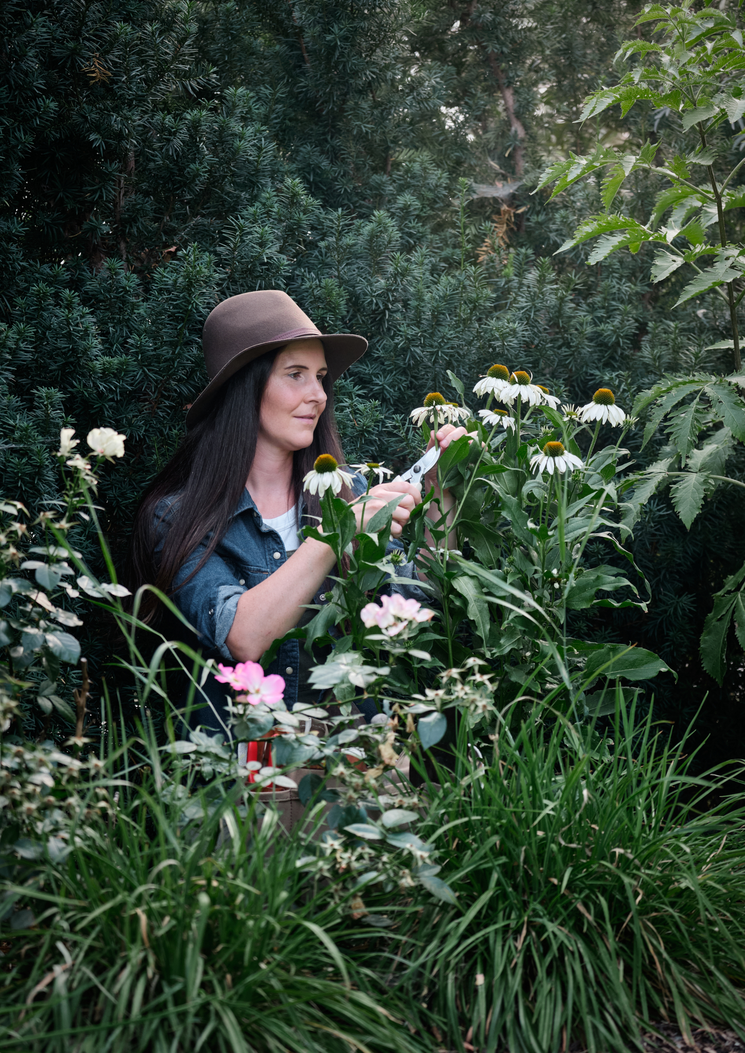tending to my wildflower border area – Home for the Harvest